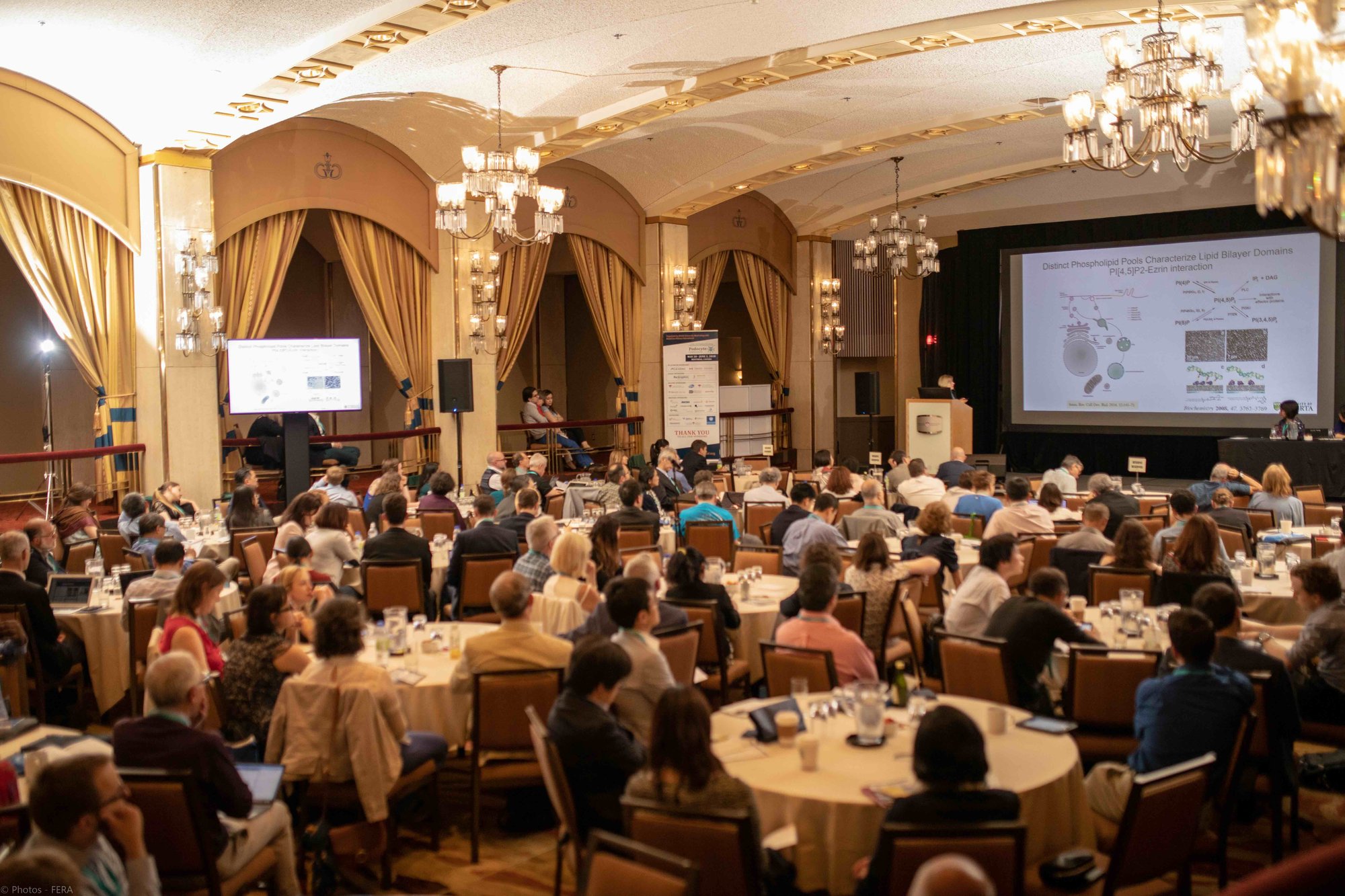 IPC 2025 Scientific Program