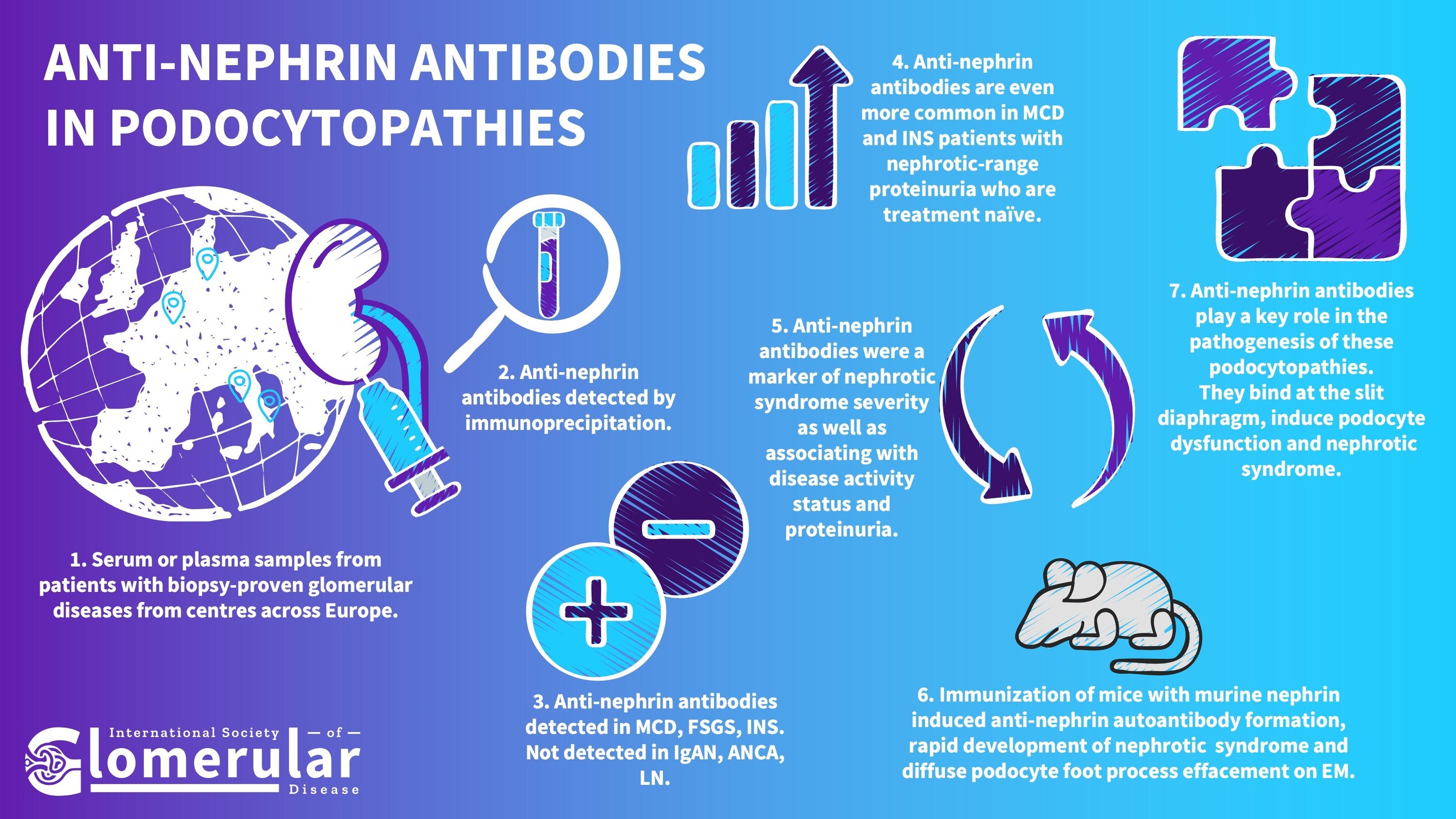Anti-Nephrin Autoantibodies