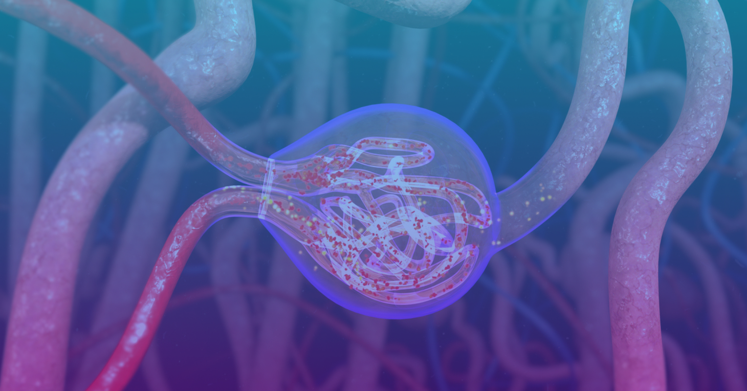 Glomerular Diseases Journal
